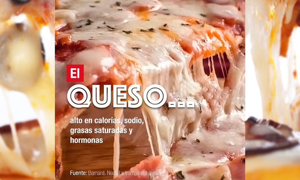 Lo que no sabías del queso