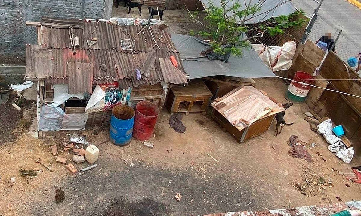 Vecinos reiteran denuncia ciudadana contra refugio de animales en ...