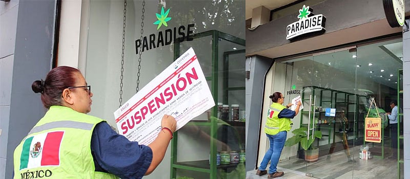 Clausuran La Tienda De Cannabis Propiedad De Vicente Fox Paradise