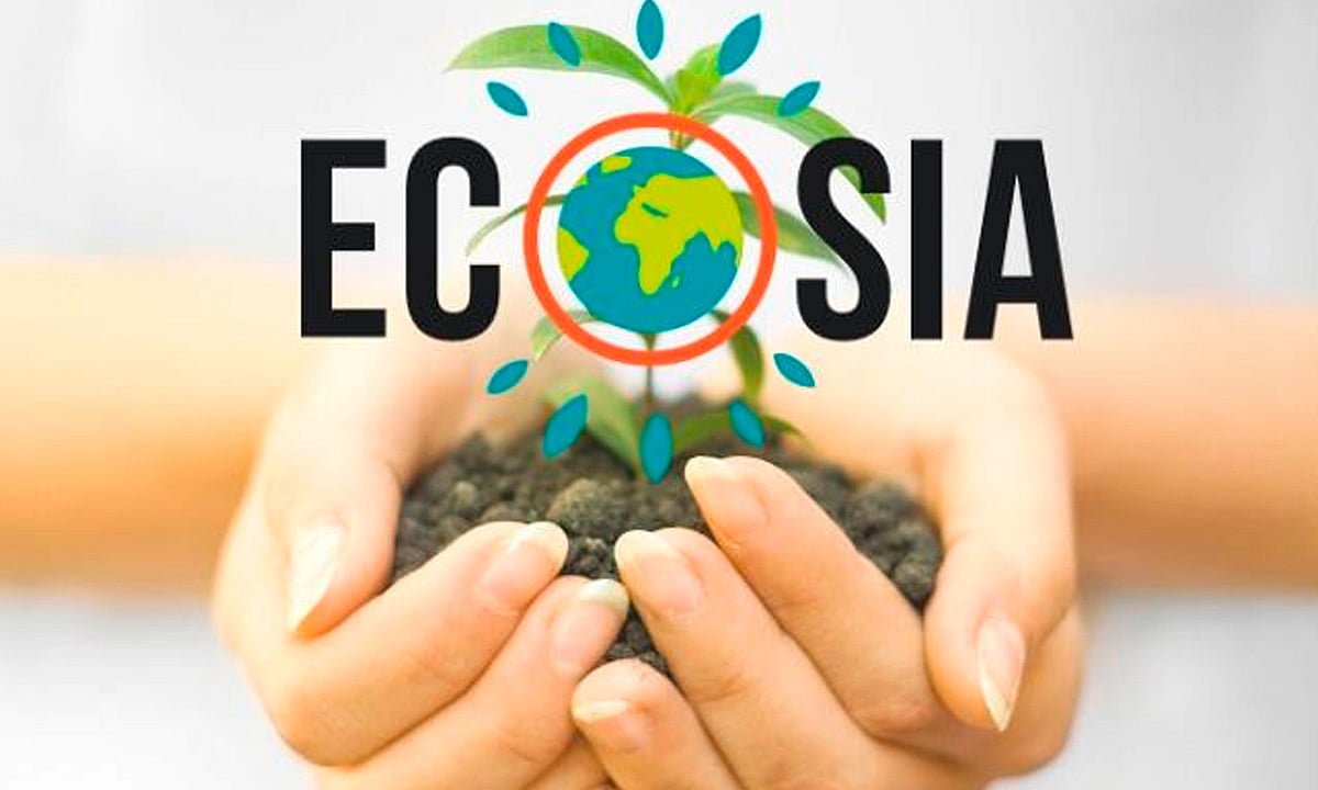 Así funciona Ecosia, el buscador que emplea sus ingresos para plantar ...