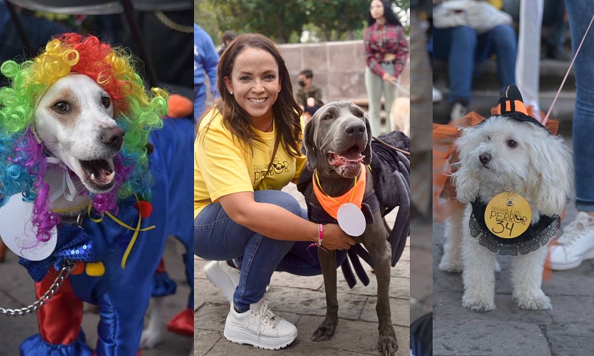 ¡Alista su disfraz! Pasarela del Perror vuelve a Morelia