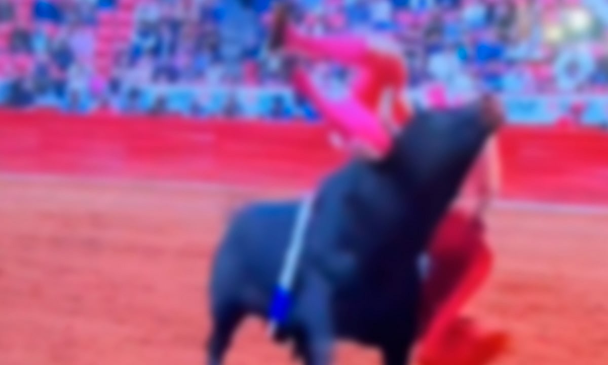 Torero Héctor Gutiérrez sufre cornada en La Plaza México [Video]