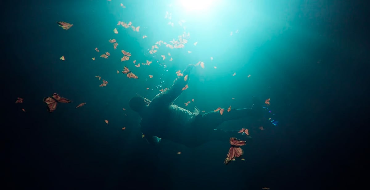 Estrena Netflix tráiler de "El guardián de las monarcas"; disponible ...