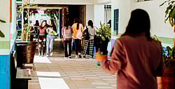 Abierta, convocatoria del IMCED para ciclo 2024-2025