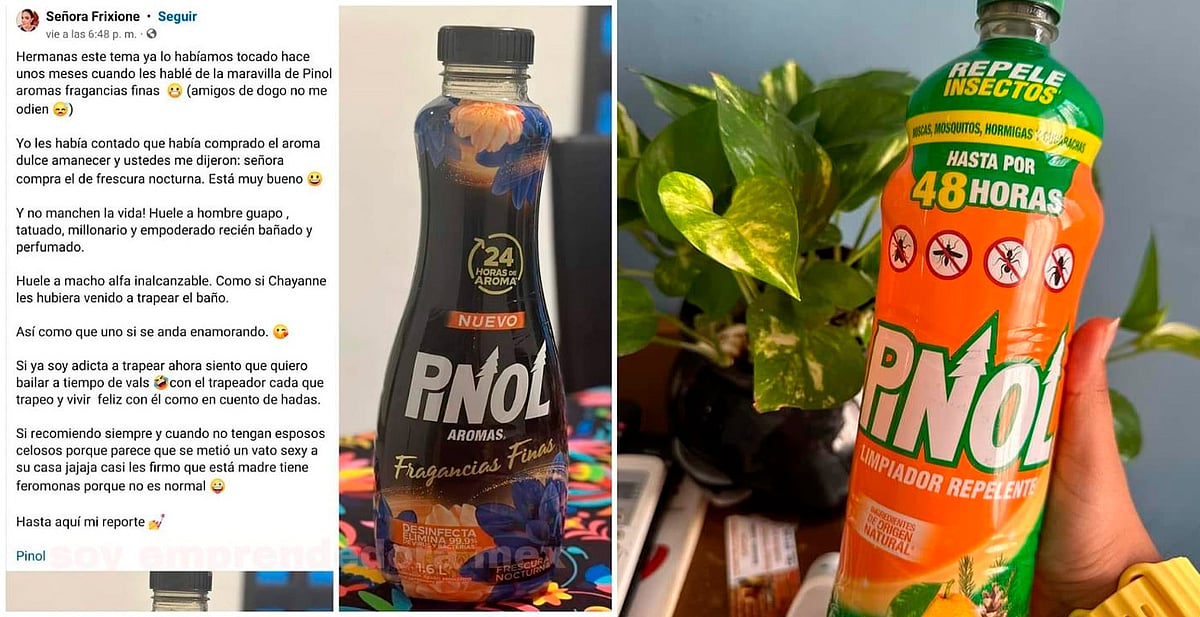 Adiós Pinol que huele a hombre guapo y hola al que repele insectos