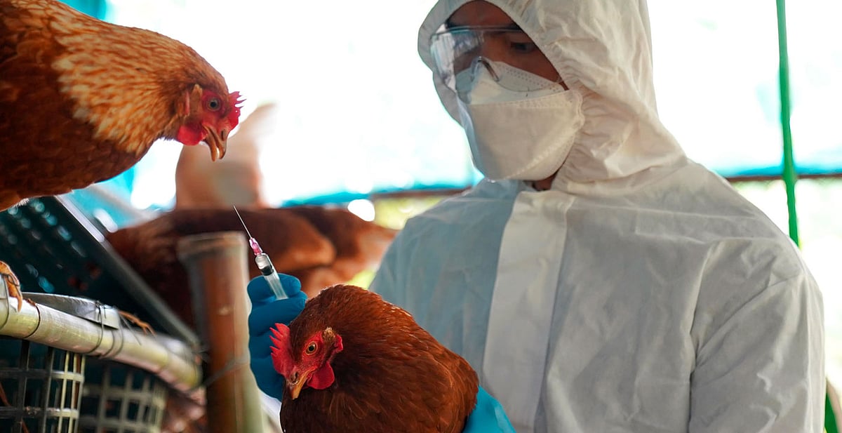 No hay riesgo para la población por primer caso humano de influenza ...