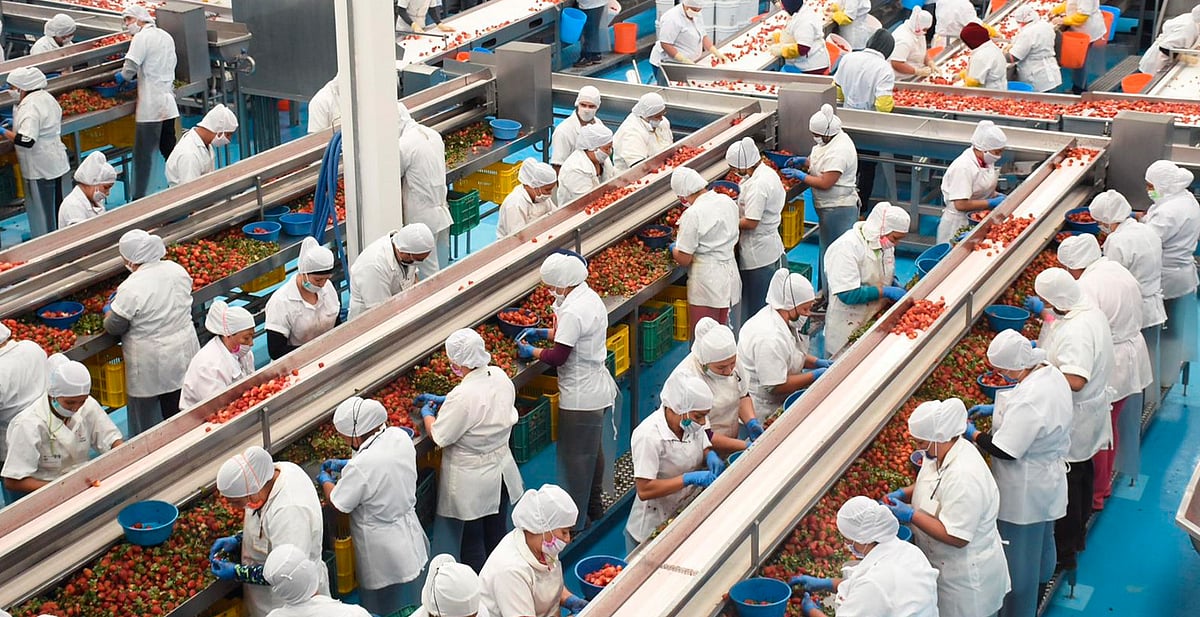 Sedeco vigila que empresas cumplan con formalidad laboral