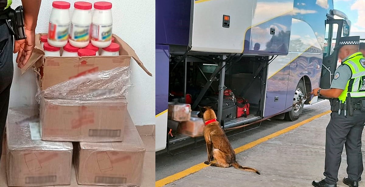 Guardia Nacional asegura 48 kilos de metanfetamina en botes de manteca ...