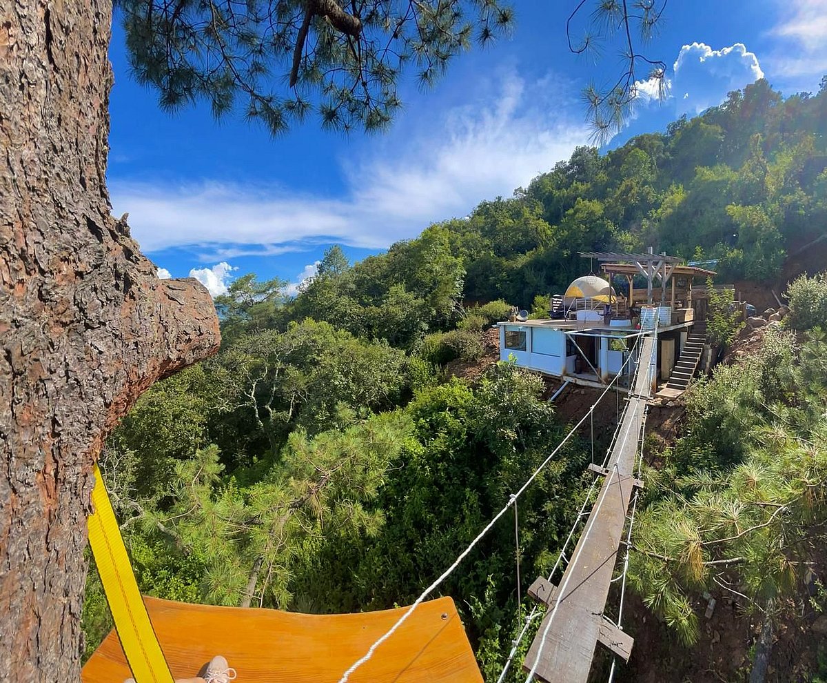 Quinto Elemento: el lugar que no sabías que necesitabas y a pocos ...