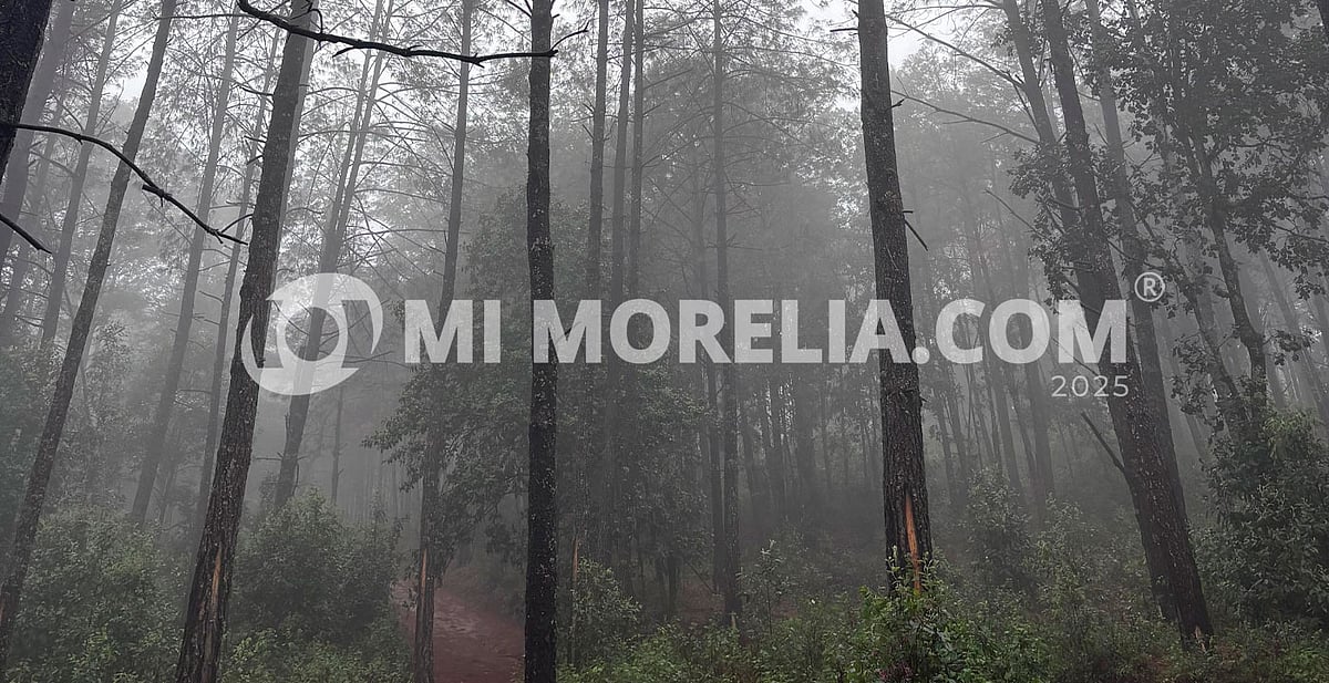 Pico Azul: el punto más alto de Morelia y lugar para hacer senderismo