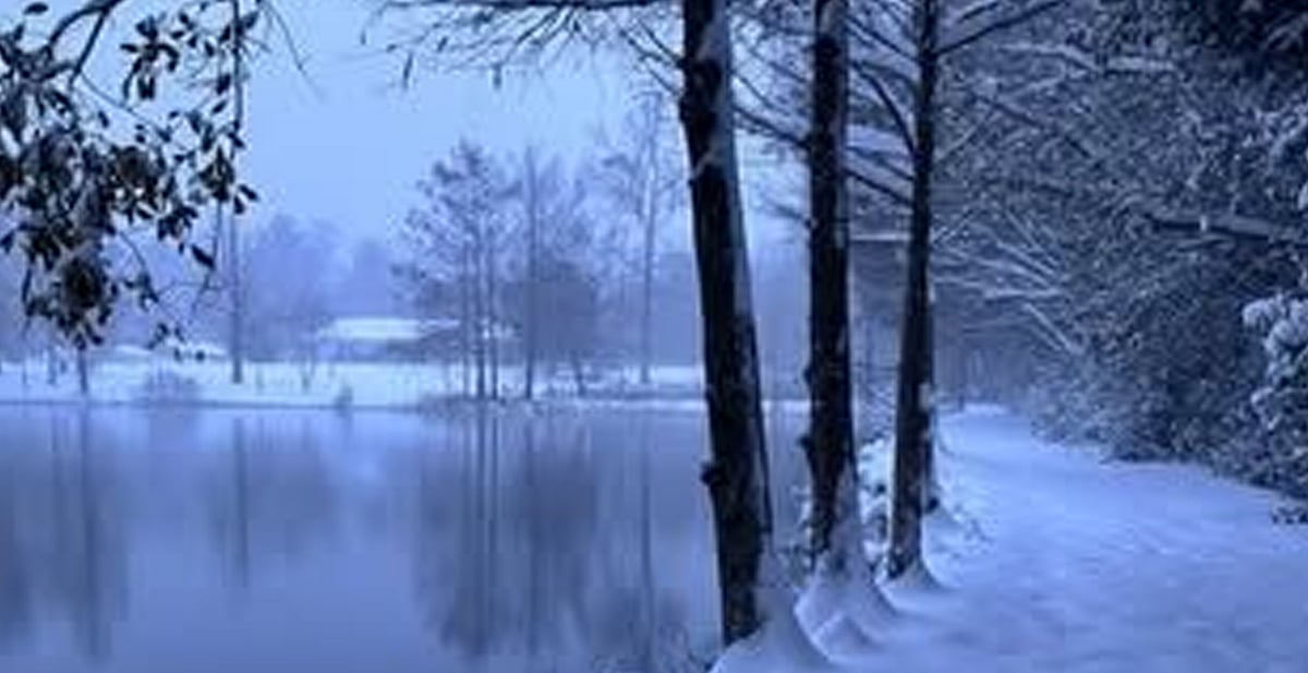 Nevada histórica en Florida cubre playas; supera en nieve a Nueva York ...