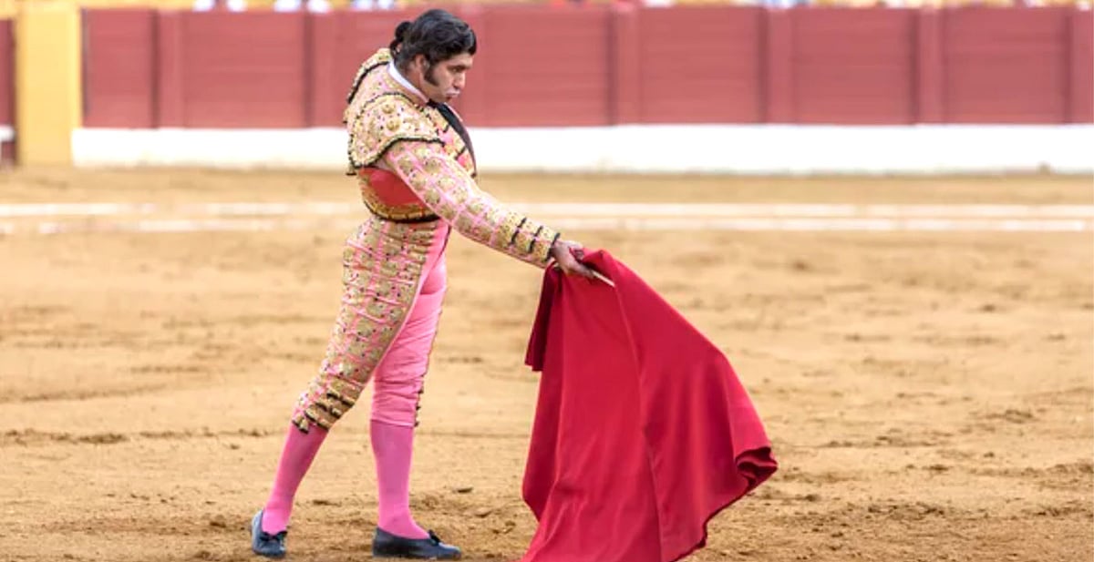 Toreros mexicanos buscan amparo ante prohibición de corridas en CDMX