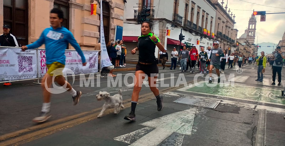 "Corre, camina, vota" registró más de mil participantes