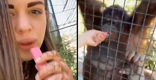 Mia gomex erome i had been thinking about arranging with