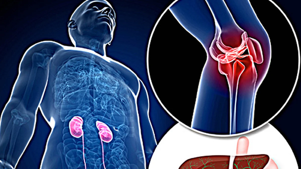 Crean científicos de la UNAM bioprótesis para regenerar tejidos ... Crean científicos de la UNAM bioprótesis para regenerar tejidos ...