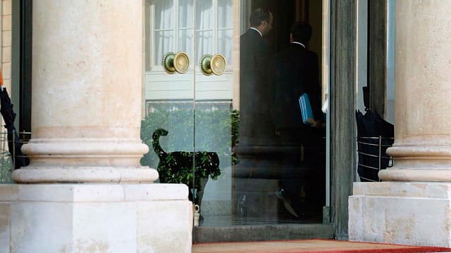 Nemo, el perro de Macron que recibe a invitados en el palacio presidencial