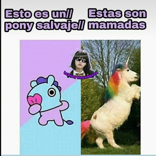"Pony Salvaje" la canción viral que está arrasando las redes sociales