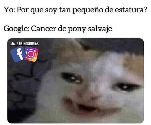 "Pony Salvaje" la canción viral que está arrasando las redes sociales