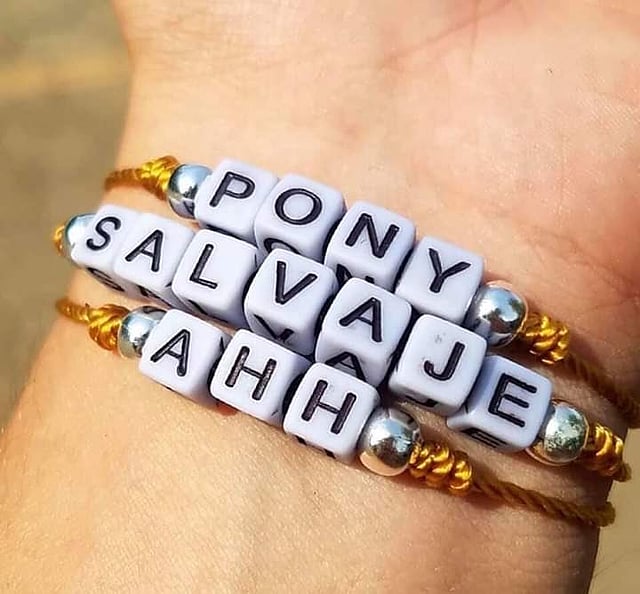 "Pony Salvaje" la canción viral que está arrasando las redes sociales