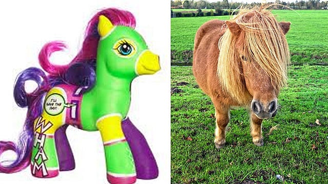 "Pony Salvaje" la canción viral que está arrasando las redes sociales