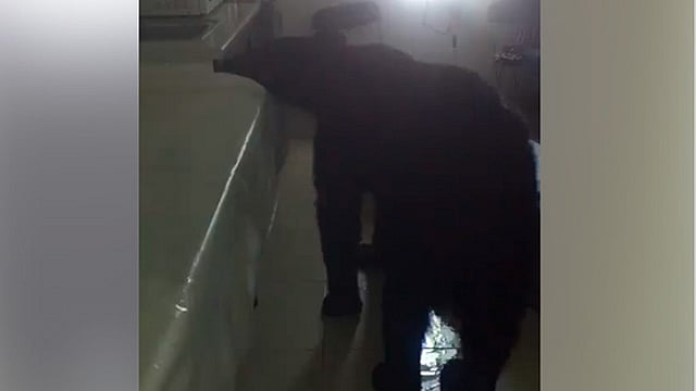Oso entra a comer tacos y tomar refresco a casa en Nuevo León