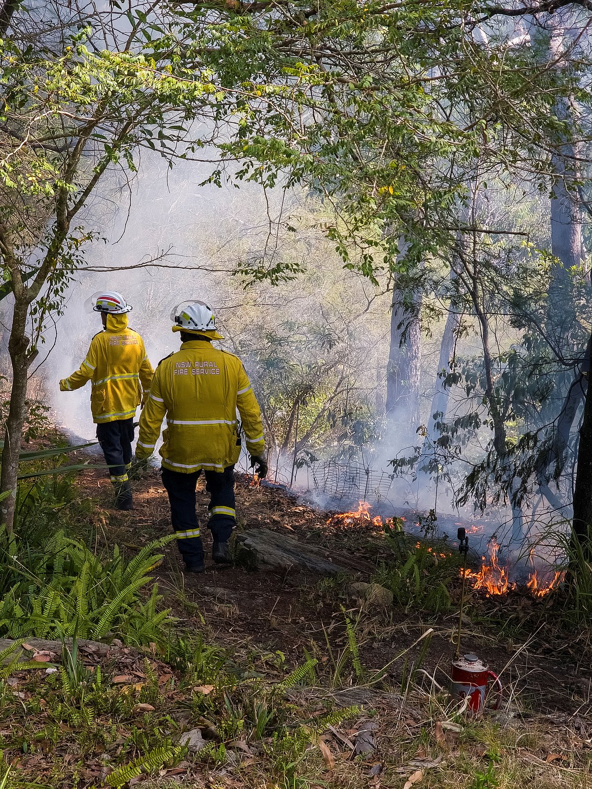 Strong winds and heatwave escalate bushfire threat in Australia