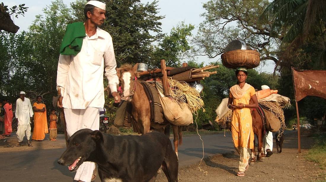 After Marathas get quota in Maharashtra, Dhangars are next in queue