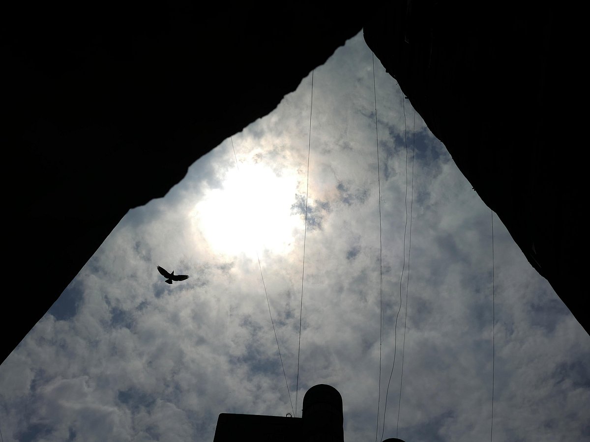 Amazing pics of Solar Eclipse 2020