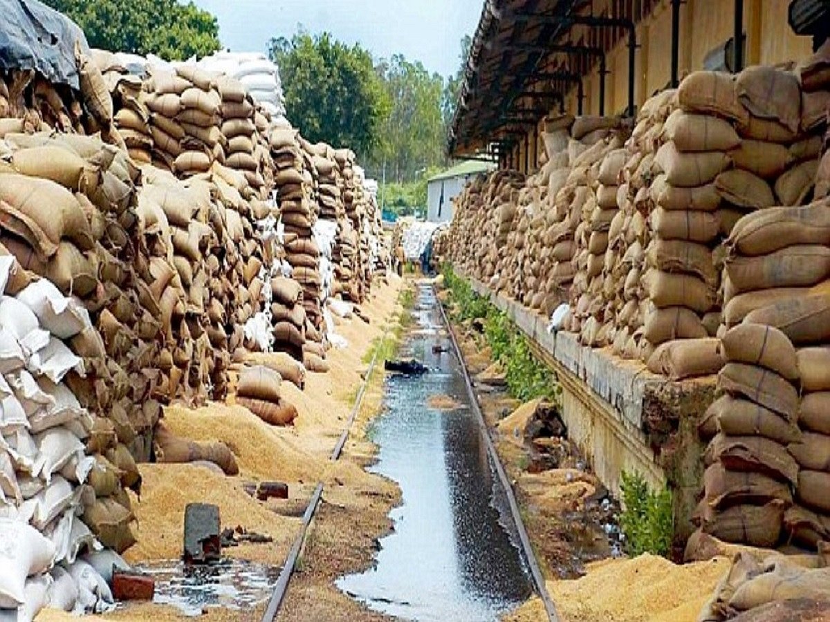 1,571 tonnes of food grains wasted between April and September due to ...