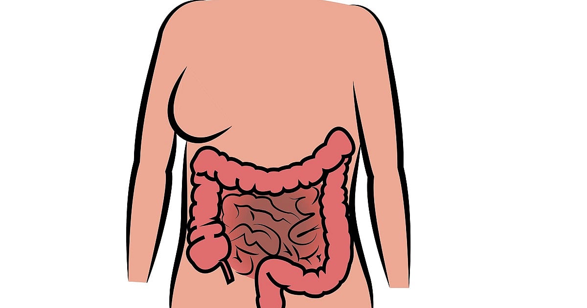 30 Severely Infected Patients Have Post COVID Digestive Issues Say 30 Severely Infected Patients Have Post COVID Digestive Issues Say