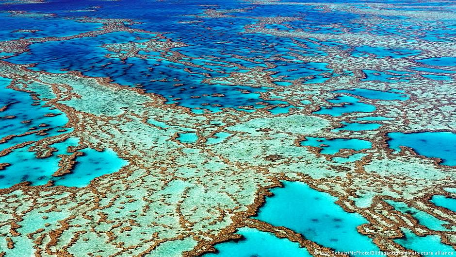Climate change impact on Great Barrier Reef may become irreversible: Report