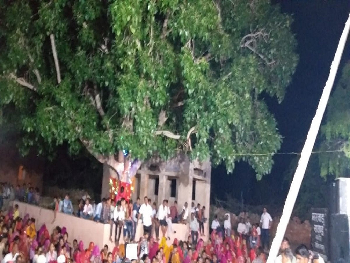 Exploits of Raj 'tree man' inspiration for preserving nature