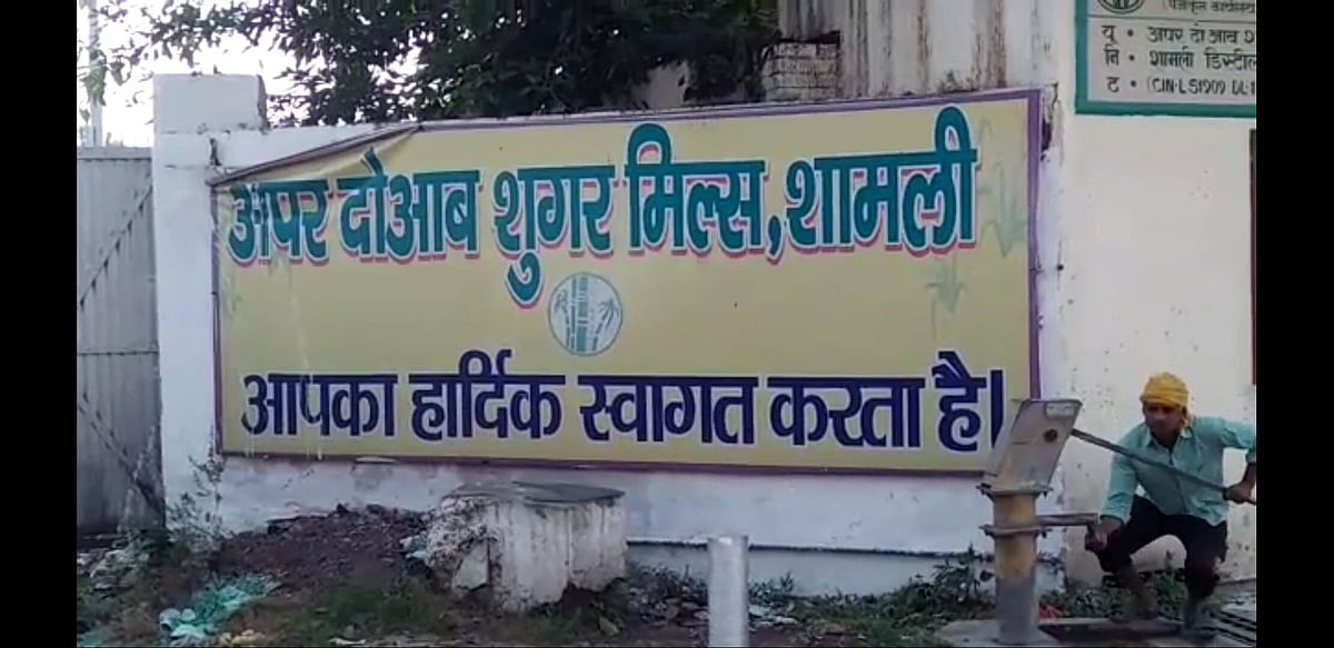 In Shamli distt, farmers vying for 'change'; SP-RLD candidates in ...