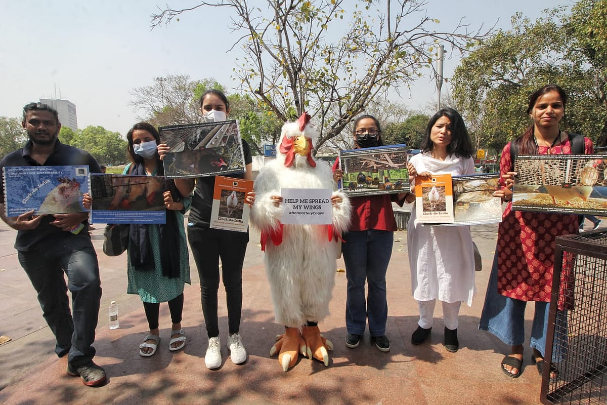NGO Consumers For Sustainability holds awareness drive against cruel ...