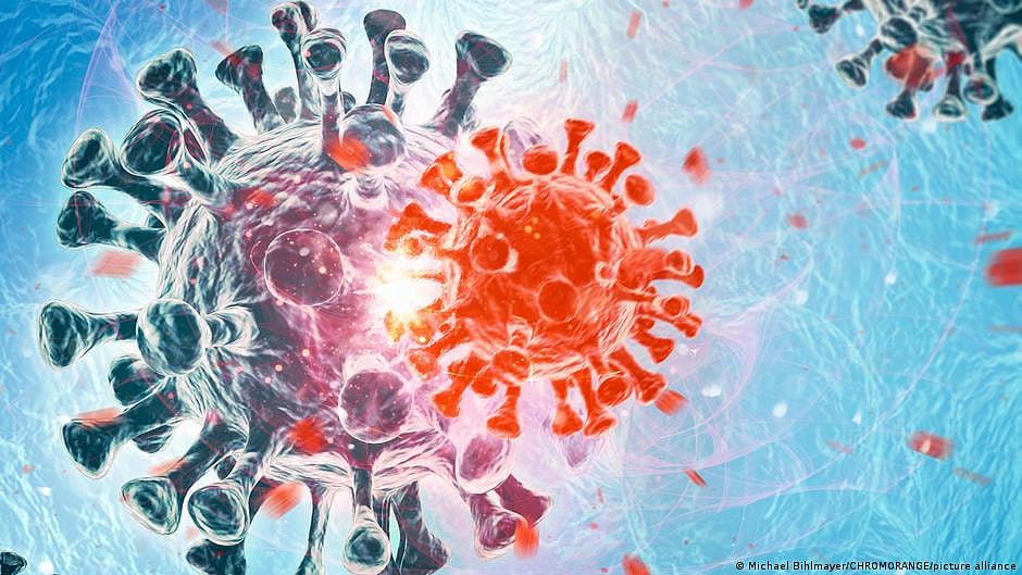 Scientists find how Omicron sub variants escape immune system, spread ...