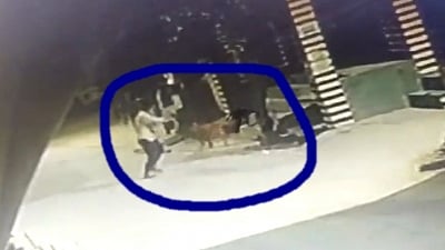 Irked over dog's barking, 3 shot in Ghaziabad