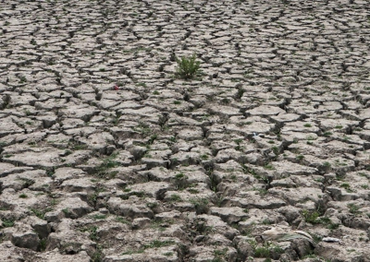 Changing track of monsoon: Drought looms over paddy-growing UP, Bihar ...