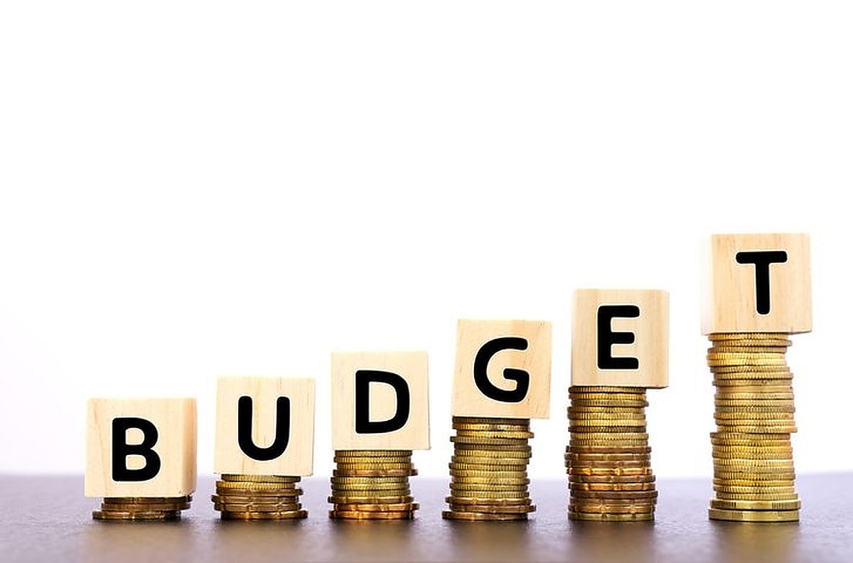 Pre-budget consultations make finance ministry officials no wiser