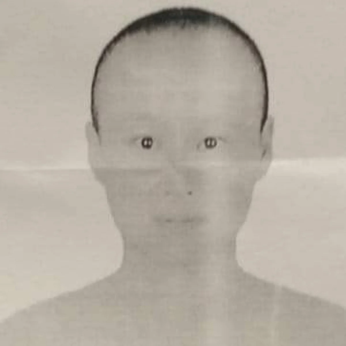 Missing Chinese Woman: A spy story that never was