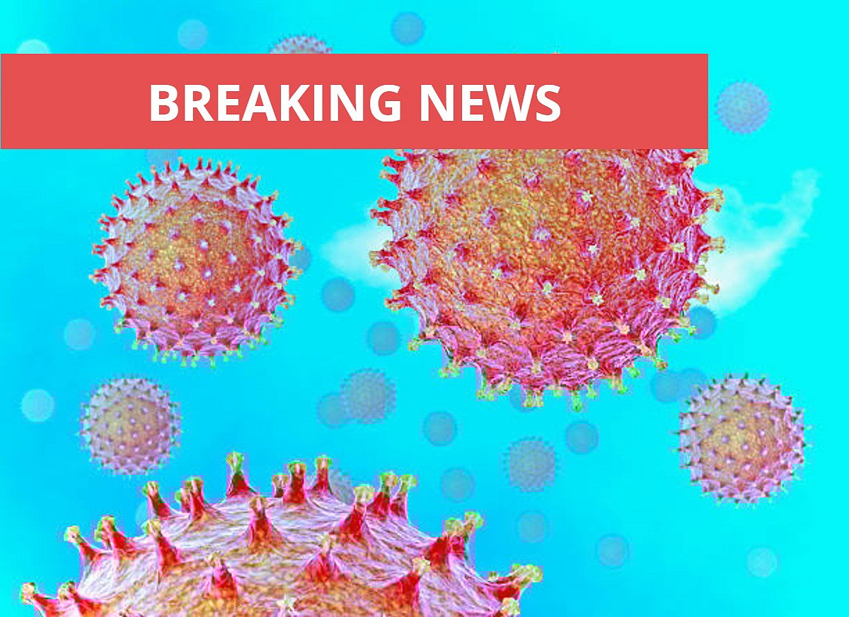 Karnataka, Haryana each record one H3N2 variant death