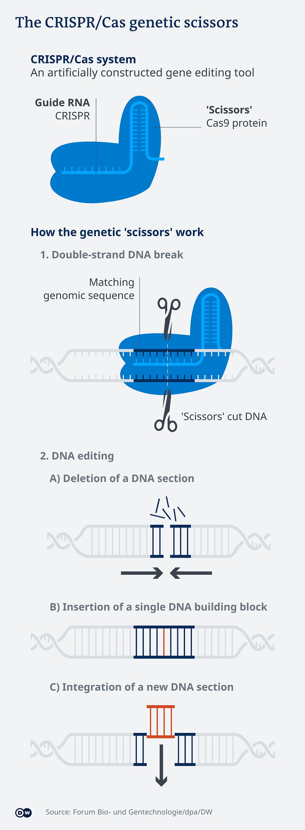Food security: Can AI and genome editing help?