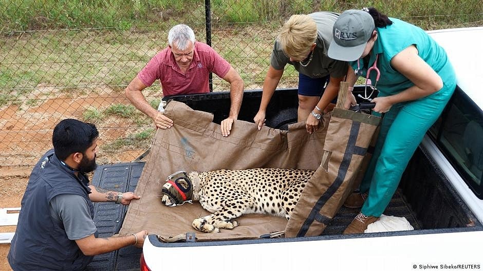 The Cheetah Project debacle: A cry for public accountability
