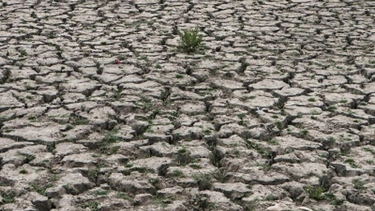 22 more taluks in Karnataka declared drought hit