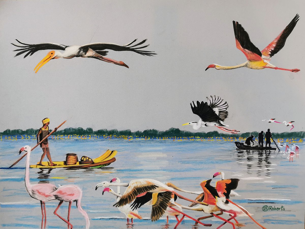 Photo Story: #StopAdaniSavePulicat Campaign