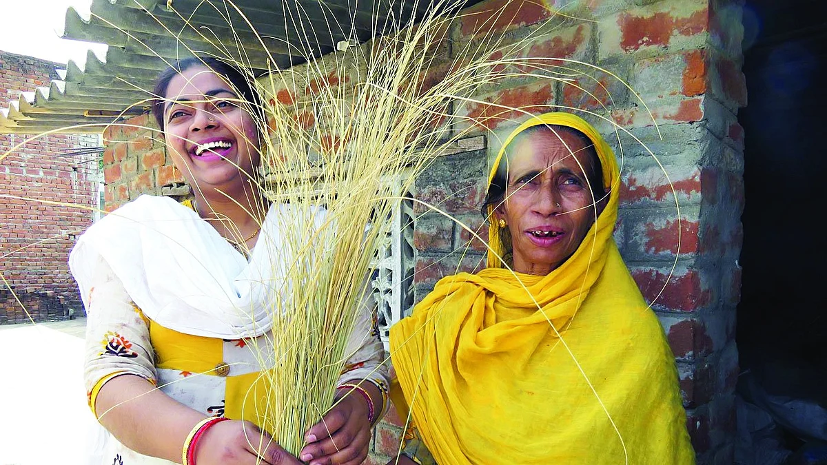 The grass is green for the moonj weavers of Allahabad
