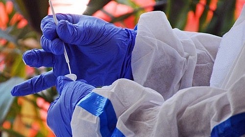 How common cold virus boosts immune system to fight Covid