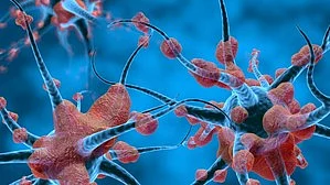 IISc develops AI tool for nerve disorders in hand, forearm