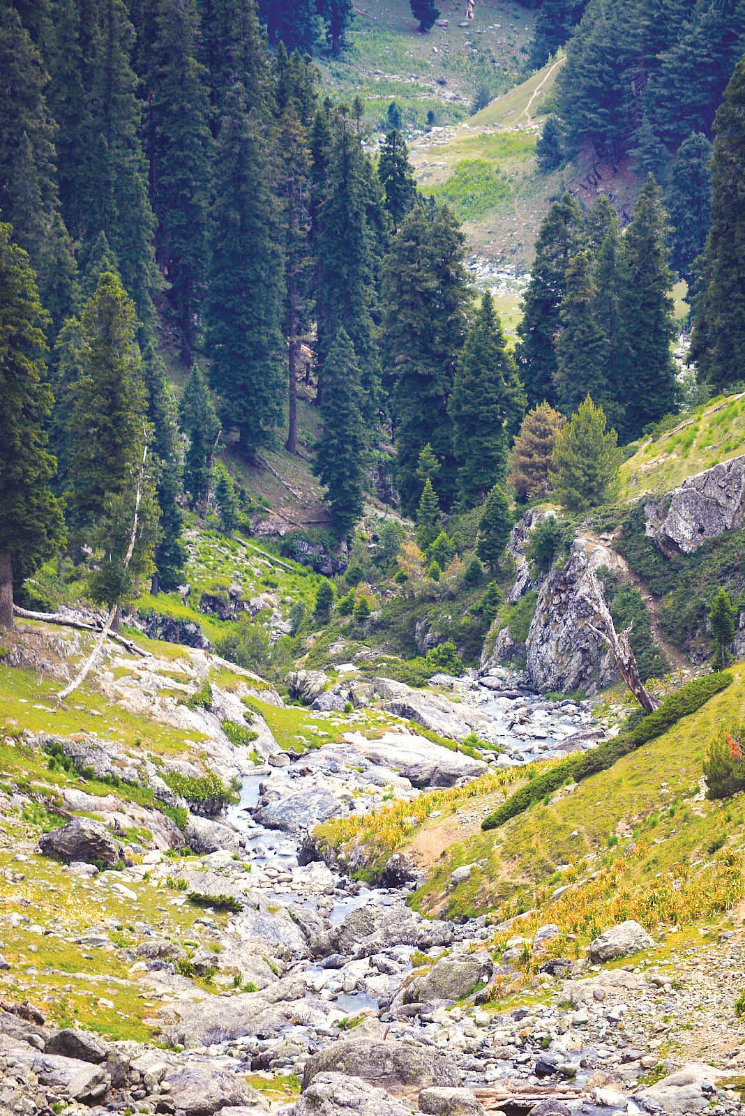 No snow in the Himalayas, why India should worry