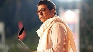 Teacher smarty ants login - fetianalysis