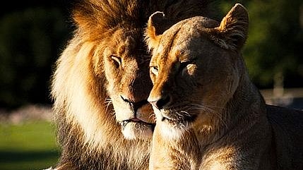 Akbar and Sita: The name of the game